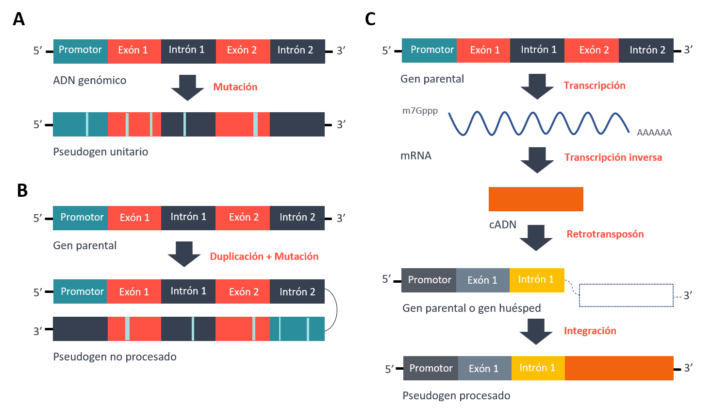 Blog archivos - Dreamgenics