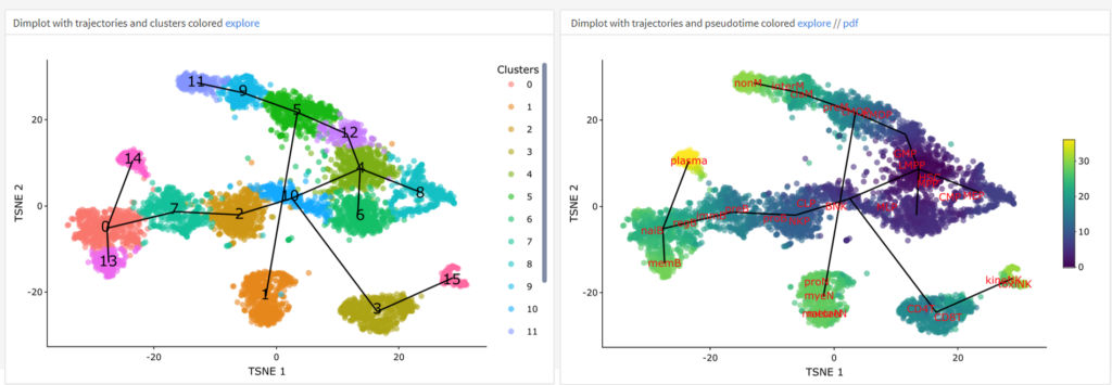 Single cell RNA-Seq - Dreamgenics