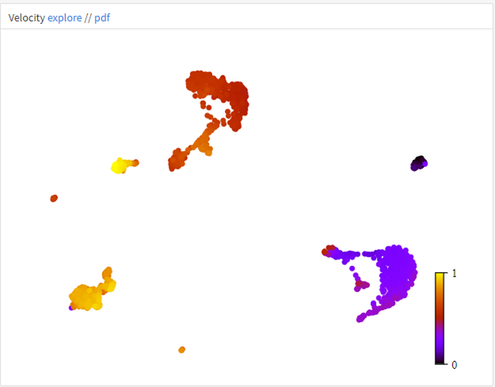 Single cell RNA-Seq - Dreamgenics