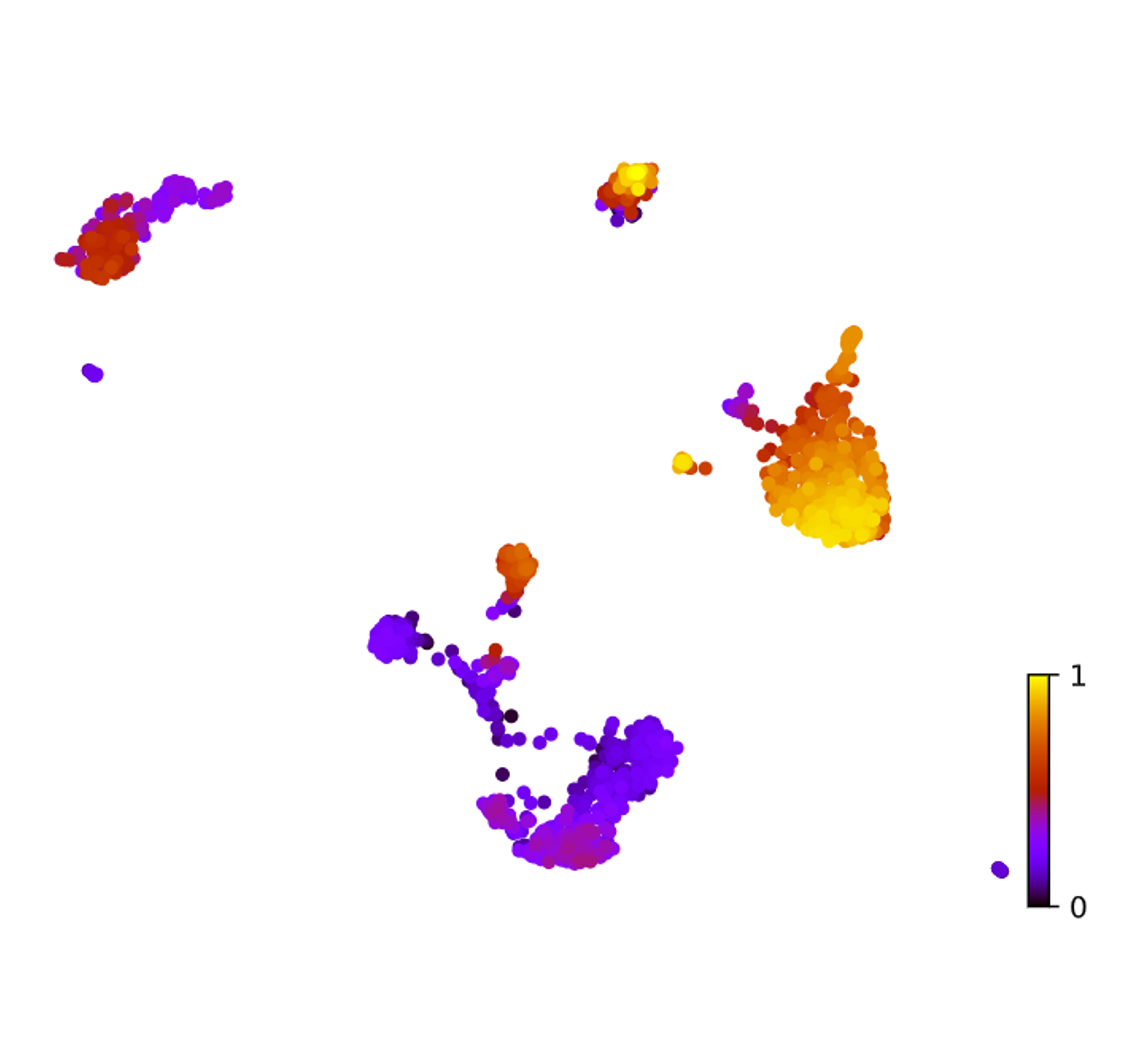 Single cell RNA-Seq